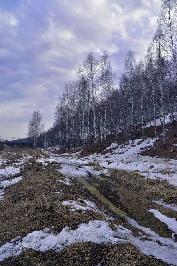 Spring melting snow stock photo. Image of cloudscape - 217173392