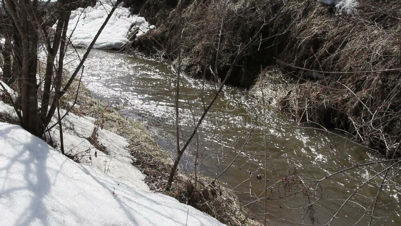 Spring Melting of Snow on the River, in April. Stock Video - Video of ...