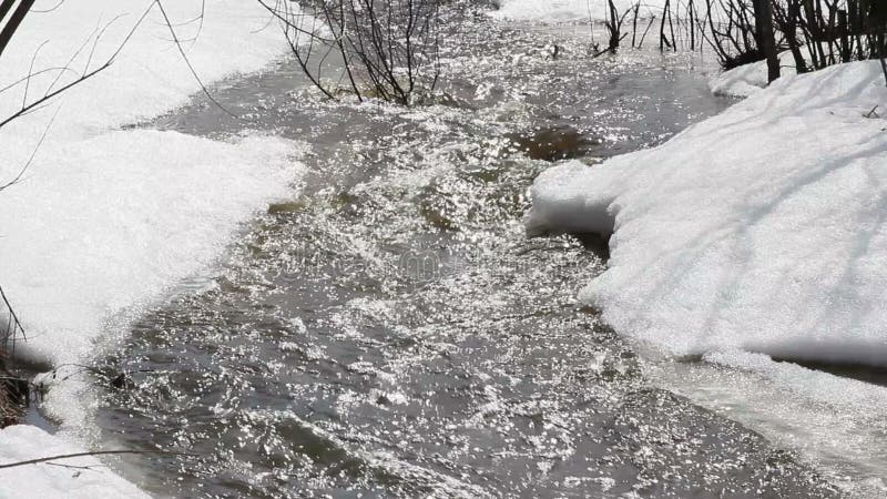 Spring Melting of Snow on the River, in April. Stock Video - Video of ...