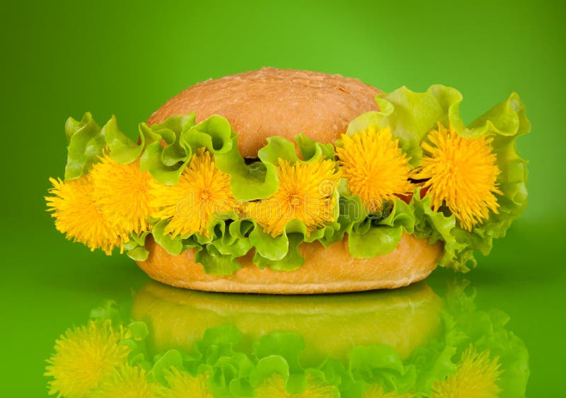Spring Menu Special - Burger with Dandelions Stock Image - Image of ...