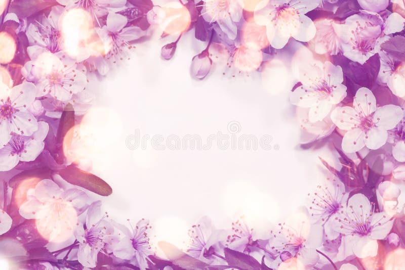 Spring message stock photo. Image of minimal, cherry - 174322482