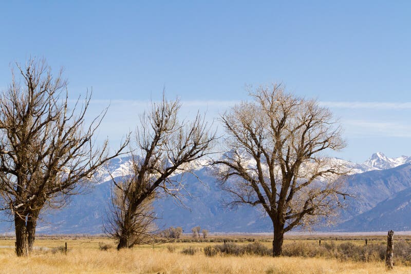 Midwest farm stock photo. Image of spring, snow, tree - 289575986
