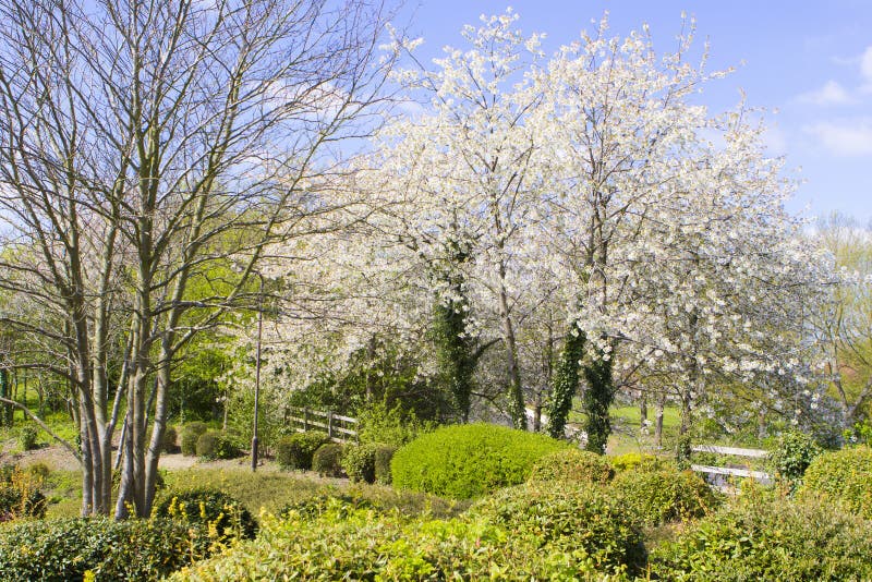 Spring in Milton Keynes, England Stock Image - Image of march, blue ...
