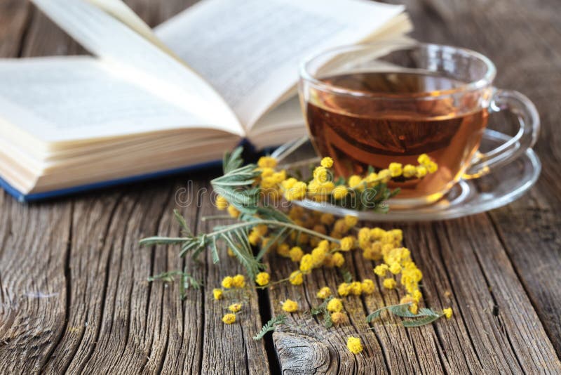 Spring Mimosa Flowers and Cup of Tea Stock Photo - Image of color ...