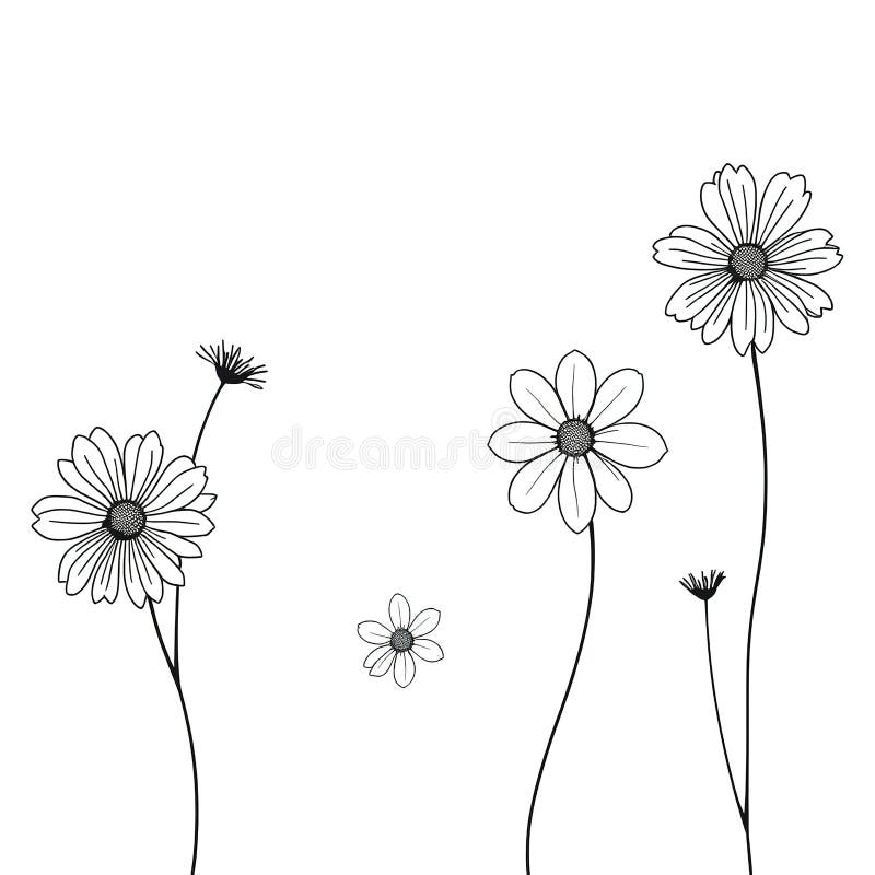 Spring Minimalist Line Art Blooms EyeCatching Visual Backdrops ...