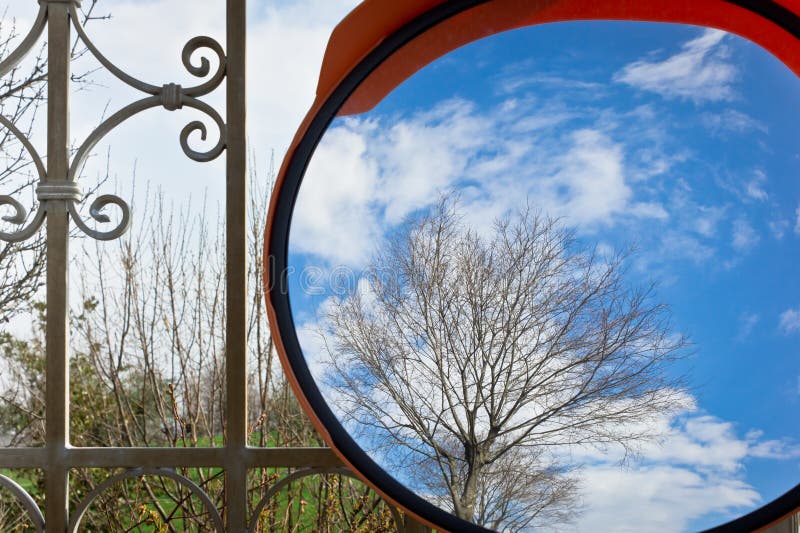 Spring in the Mirror - Closer Stock Image - Image of reflection ...