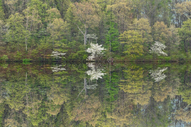 Spring, Mirrored Reflections Eagle Lake Stock Image - Image of scenery ...