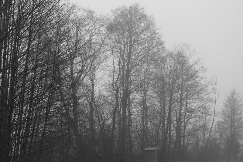 Spring mist stock photo. Image of hill, grow, area, amazing - 88101816