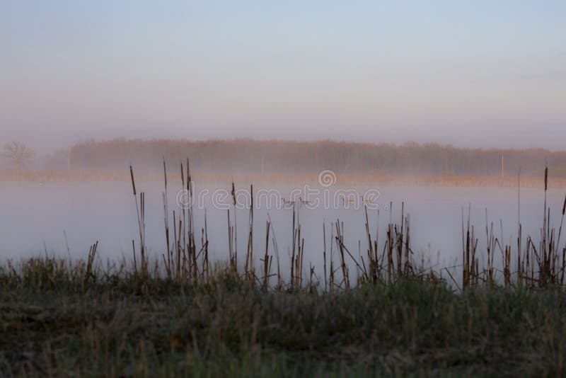 Spring Mist Over Landscape in North Wisconsin Stock Photo - Image of ...