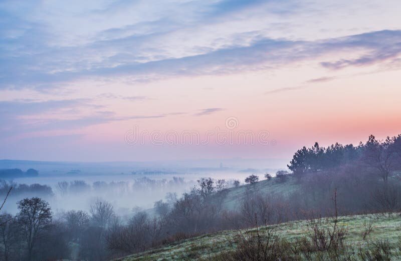 Spring Mist stock image. Image of jungle, branch, forest - 37904783