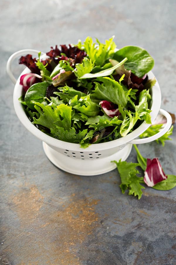 Spring Mix Salad Leaves in a Collander Stock Image - Image of isolated ...