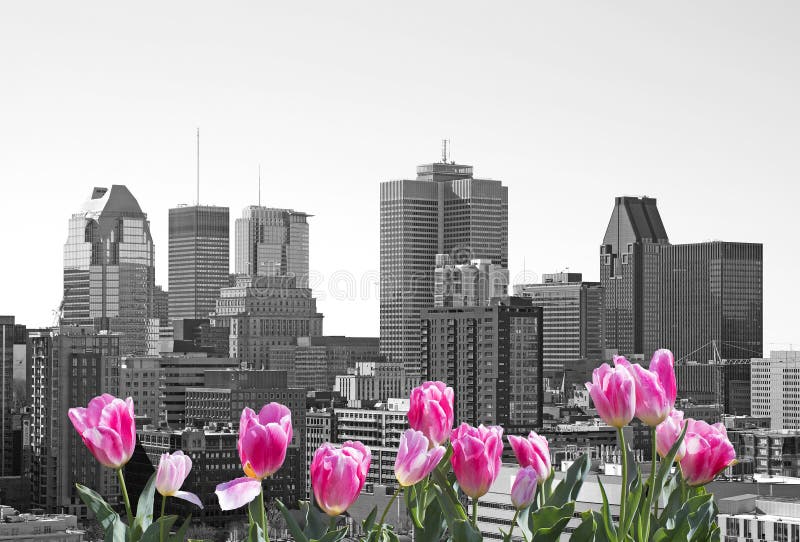 Montreal city stock photo. Image of scene, montreal, modern - 51463628