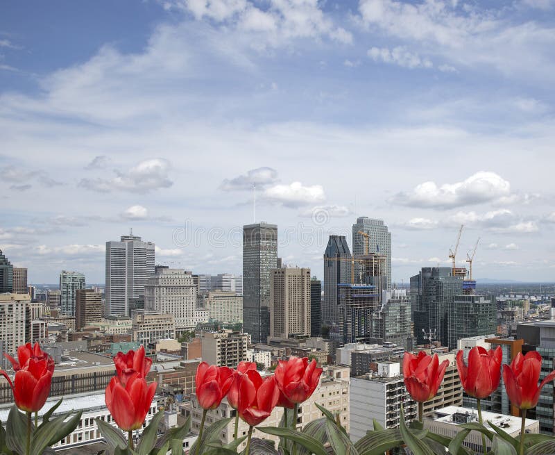 Spring in Montreal stock image. Image of modern, skyscraper - 69842559