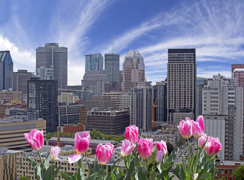 Spring in Montreal stock photo. Image of skyline, quebec - 69842710