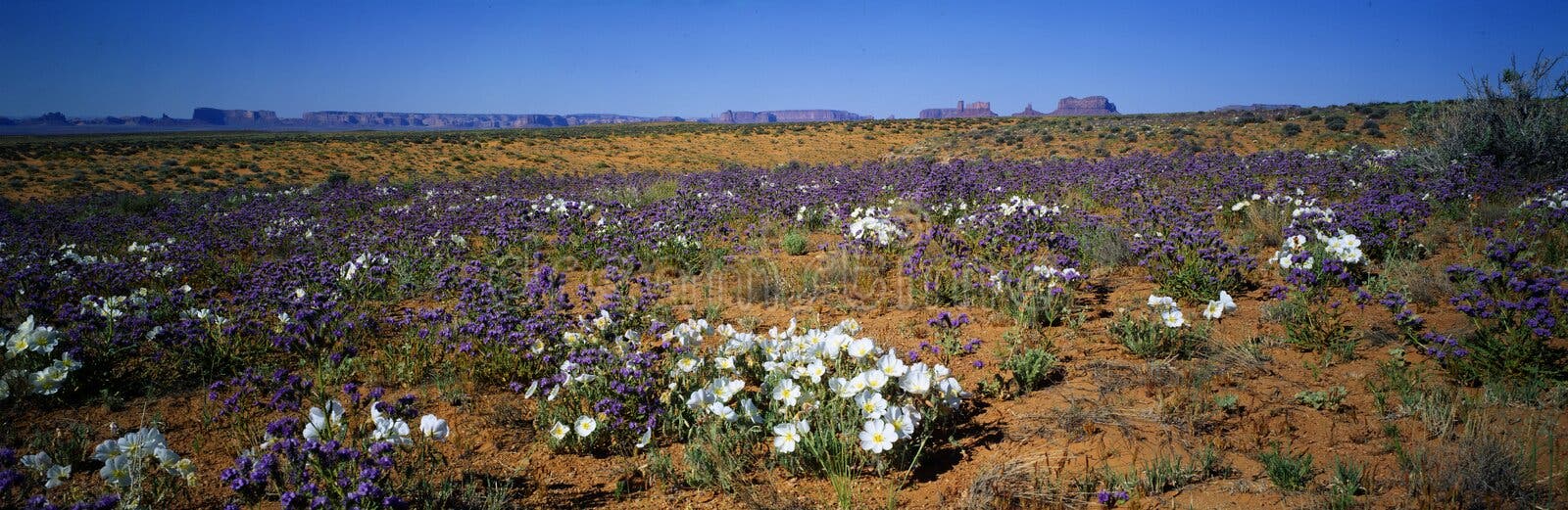 Monument Valley Tribal Park, AZ Stock Image - Image of magnificent ...