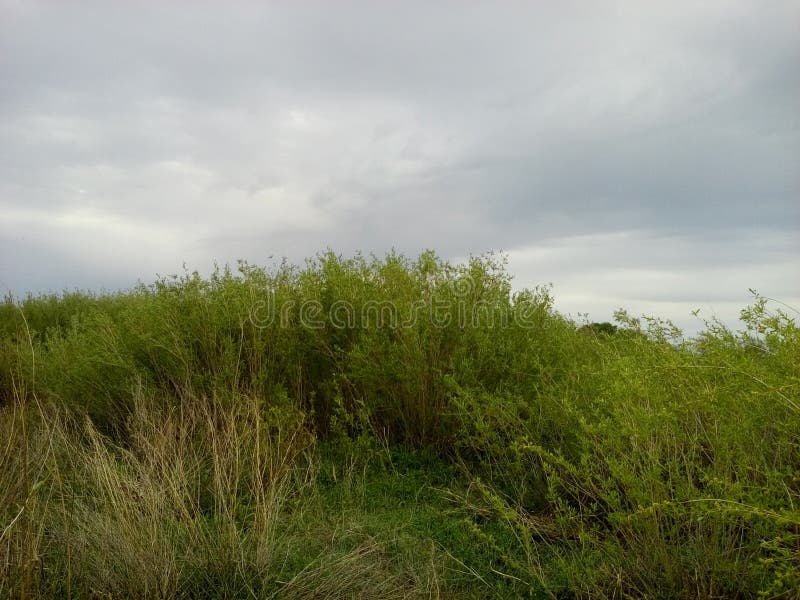 Spring mood stock photo. Image of hiding, mood, line - 92457014