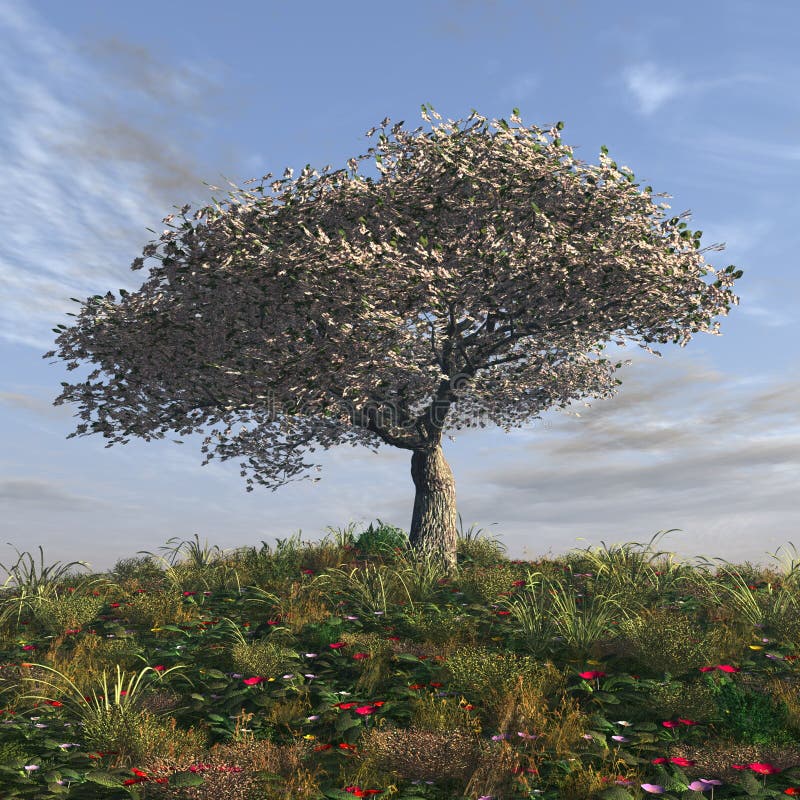 Spring morning stock illustration. Illustration of green - 2116406