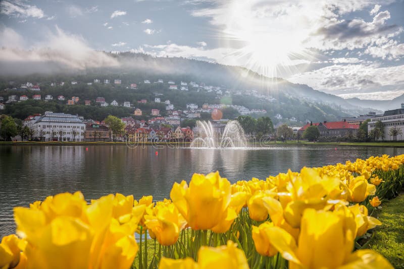 Spring Morning in Bergen, Norway Stock Photo - Image of flowers, hill ...