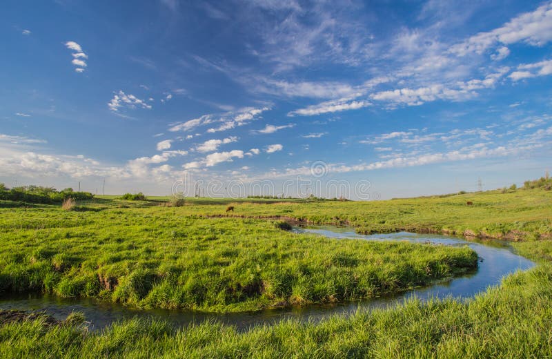 Spring morning stock photo. Image of movement, early - 39872626