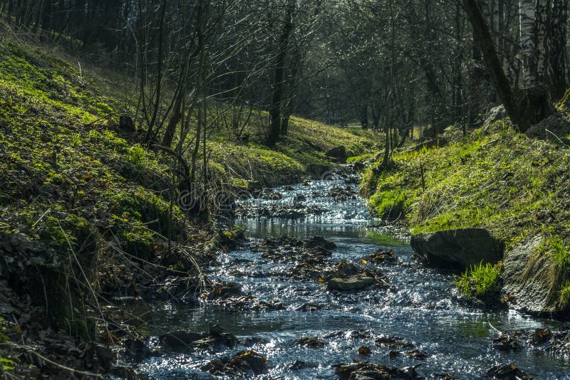 Spring in Moscow, Russia stock photo. Image of returns - 96972066
