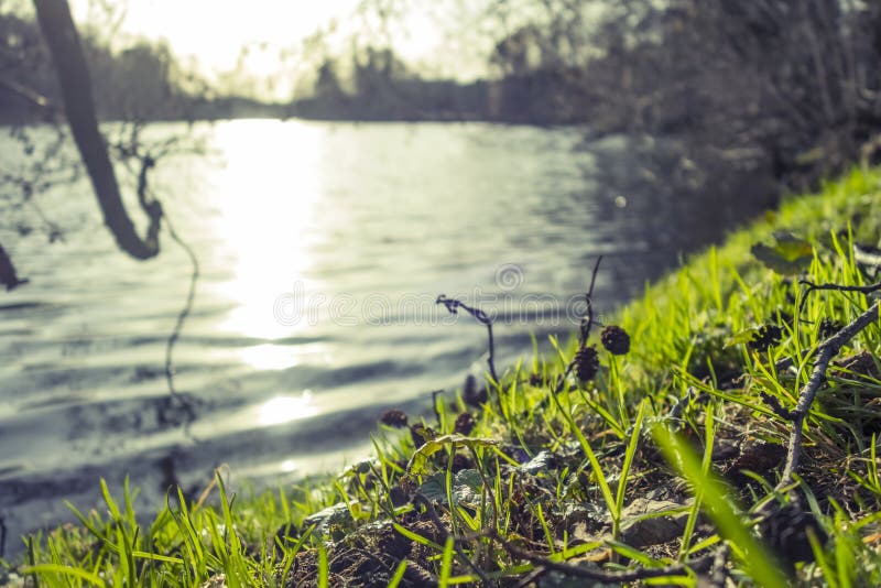 Spring in Moscow, Russia. Kuzminki Forest Park Stock Photo - Image of ...