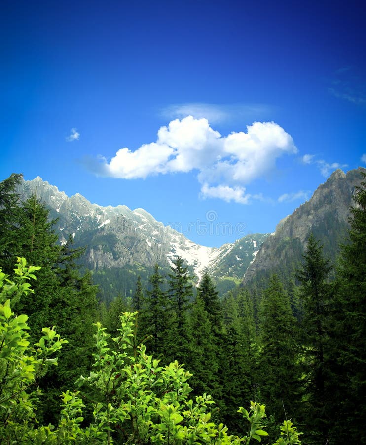 Spring Mountain stock image. Image of lombardia, snow - 9541423