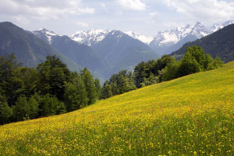 Spring Mountain stock image. Image of lombardia, snow - 9541423