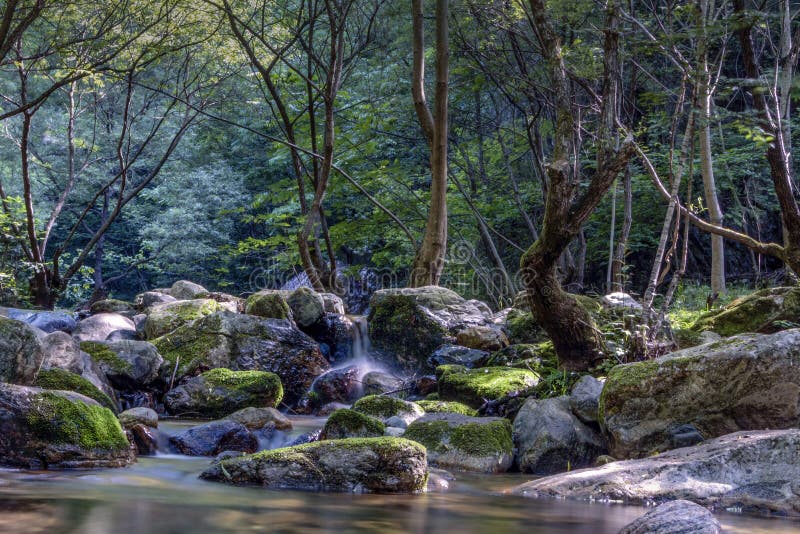 A spring in the mountain stock image. Image of outdoor - 184963431