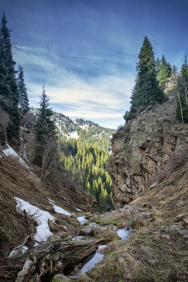 Spring in the Mountain Forest. Stock Photo - Image of clouds, landscape ...