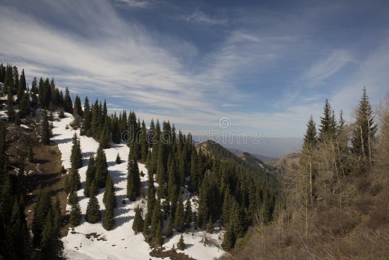 Spring in the Mountain Forest. Stock Photo - Image of colors, clouds ...