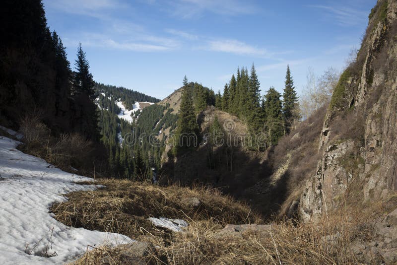 Spring in the Mountain Forest. Stock Photo - Image of landscape, green ...