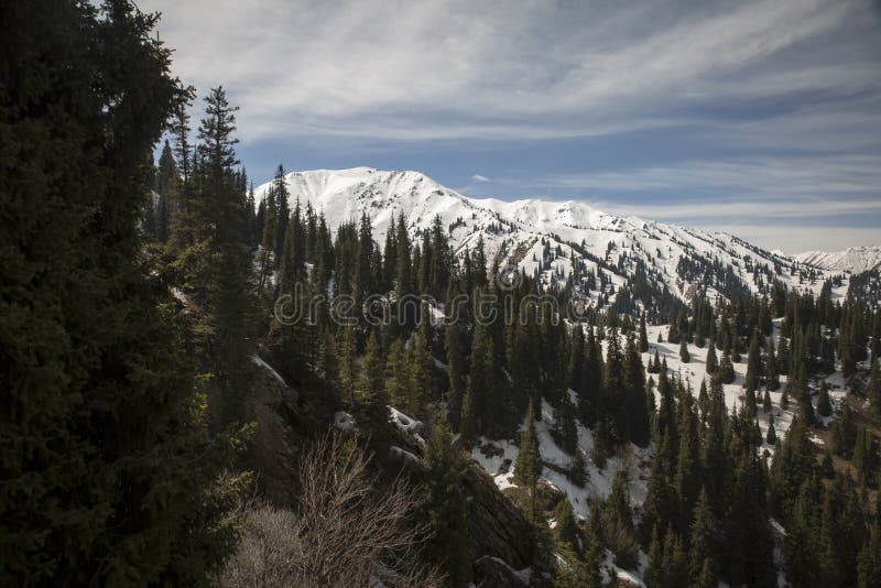 Spring in the Mountain Forest. Stock Image - Image of clouds, stones ...