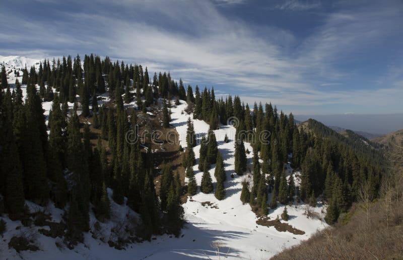 Spring in the Mountain Forest. Stock Image - Image of clouds, stones ...