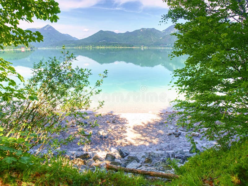 Spring Mountain Lake with Reflection and the Branch. Morning Walk ...