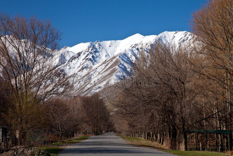 Spring mountain landscape stock photo. Image of green - 23550436