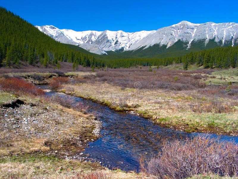 Spring Mountain Landscape stock image. Image of stream - 524163