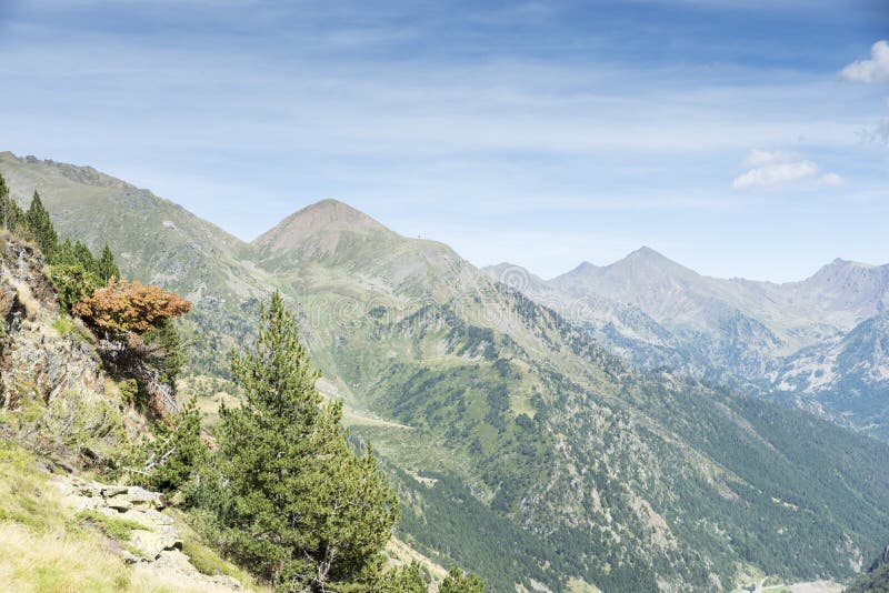 Spring mountain landscape stock image. Image of tree - 62191563