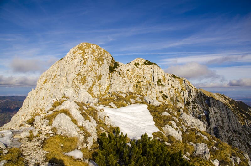 Spring mountain landscape stock photo. Image of pine - 36953344