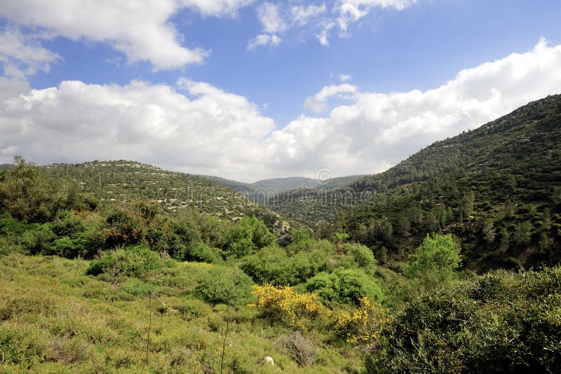 Spring Mountain Landscape, Israel Stock Image - Image of nature, grass ...