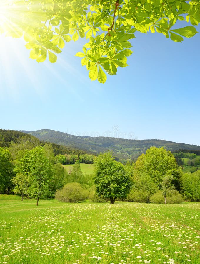 Spring mountain landscape stock photo. Image of field - 75805172