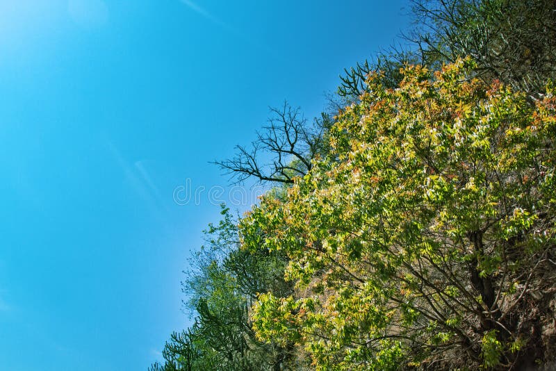 Spring Mountain Landscape of Outer Himalayas Stock Image - Image of ...