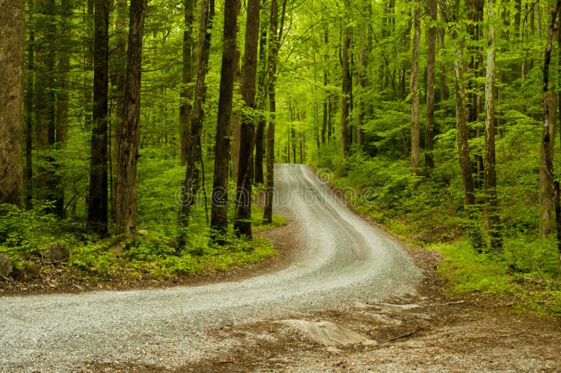 A Spring Mountain Road Makes a Curve. Stock Image - Image of smoky ...