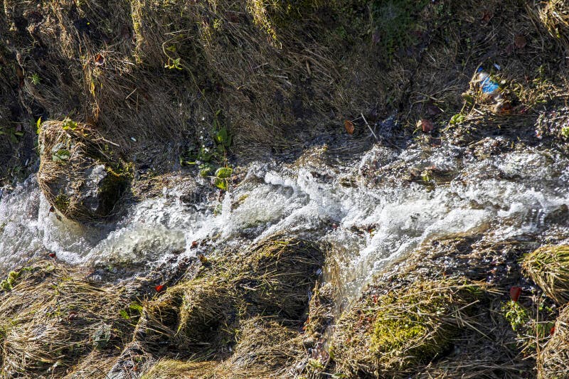Spring Mountain Stream on a Sunny Day. Stock Image - Image of nature ...