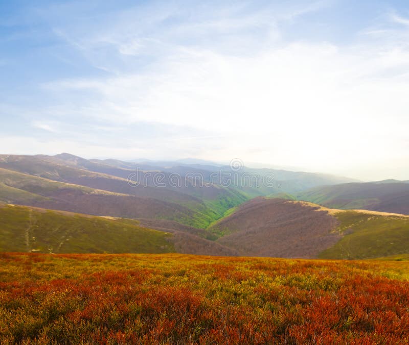 Spring Mountain Valley in a Light of Sun Stock Image - Image of bright ...