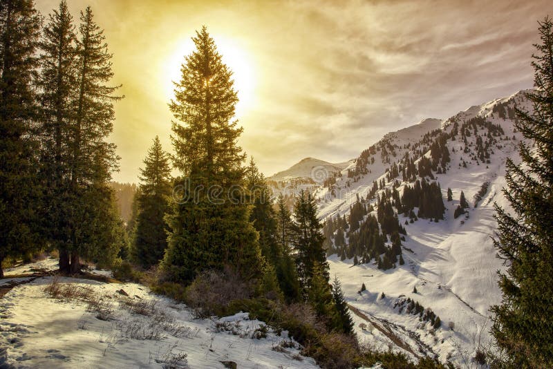 Spring in the mountains. stock image. Image of light - 137170829