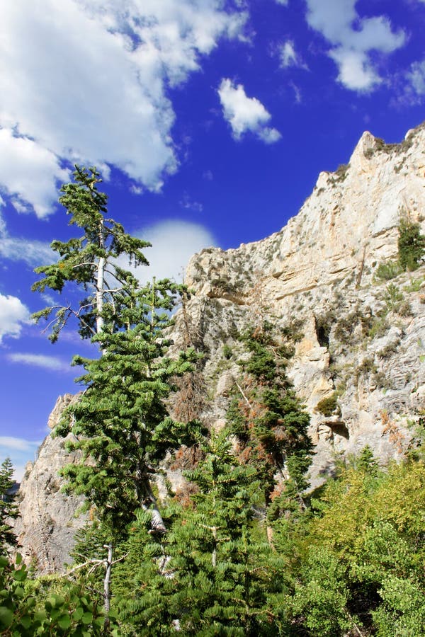 Spring Mountains Nevada Mountain Landscape Stock Image - Image of ...