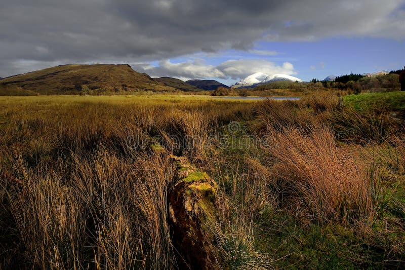 Spring in the mountains stock photo. Image of sunlight - 80287950
