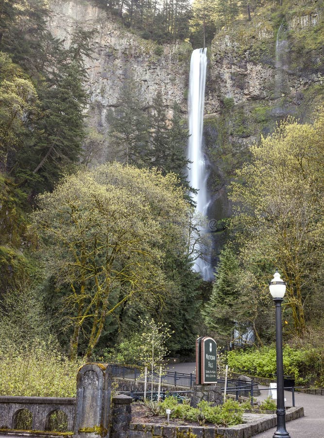 Spring at Multnomah Falls Oregon. Stock Image - Image of foliage ...