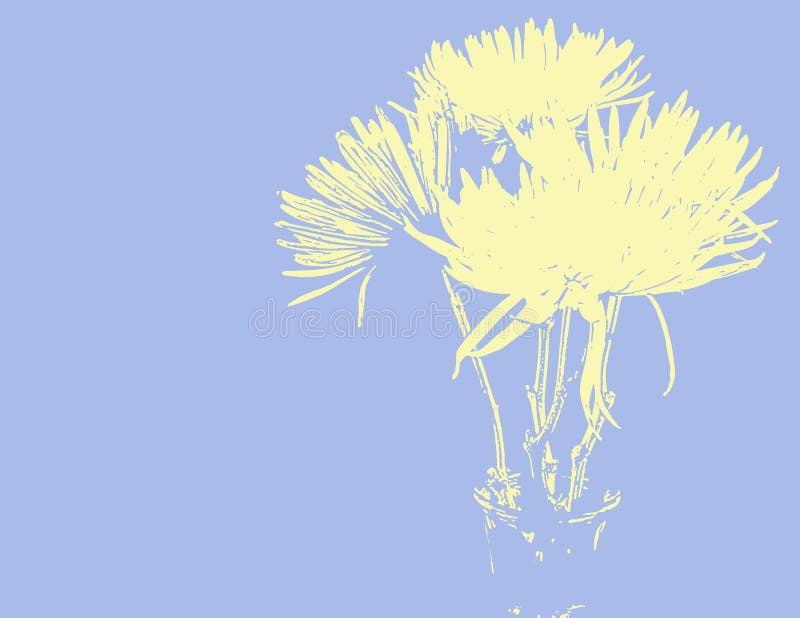 Spring Mums stock illustration. Illustration of bright - 1786734