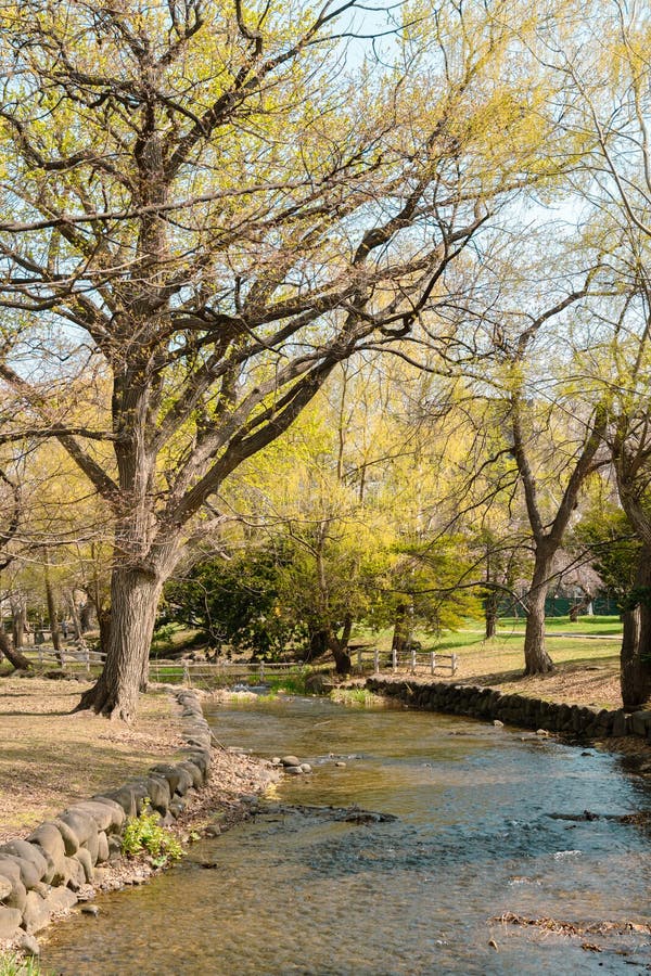 Spring of Nakajima Park in Sapporo, Hokkaido, Japan Stock Image - Image ...